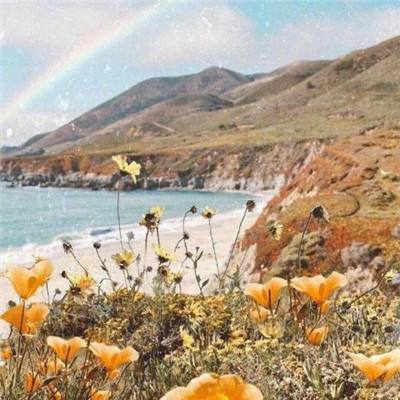 LJCMS建站系统,网站模板,html5模板,DIV+CSS模板,企业网站模板-8cms.com